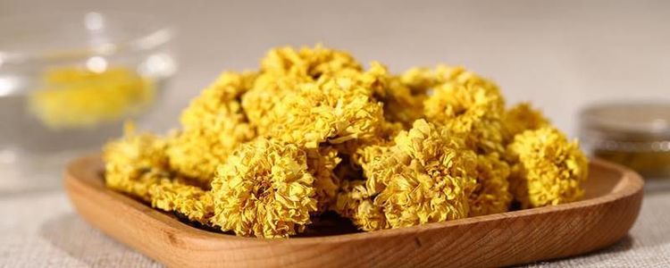 Florists Chrysanthemum | Tung Shin Hospital